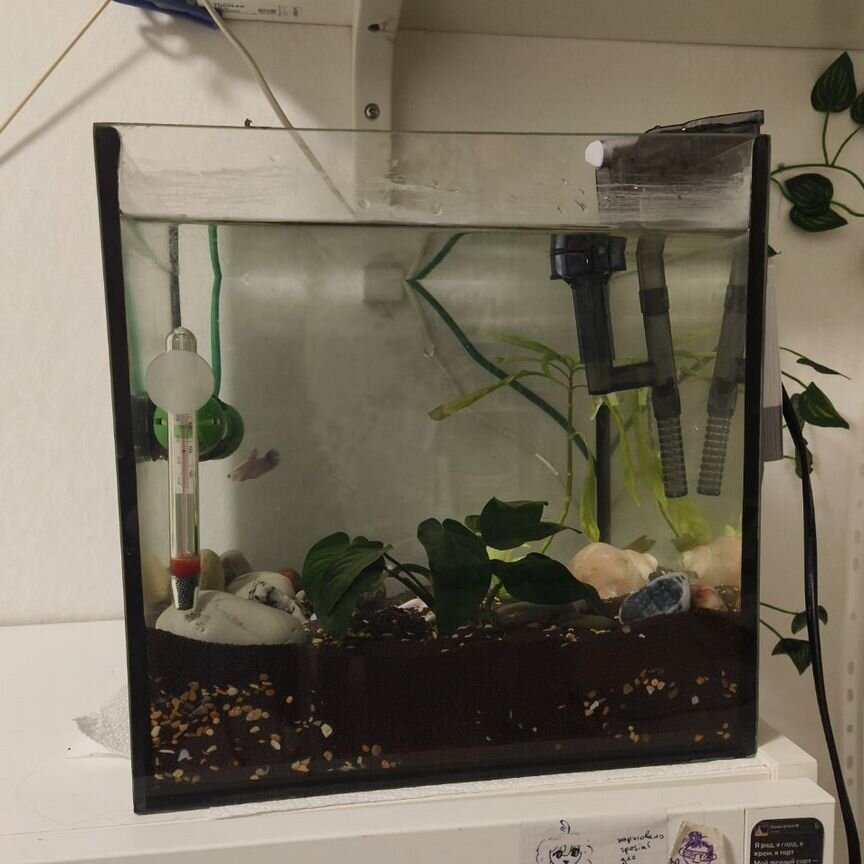 Аквариумы 15 и 10 литров