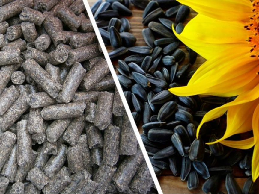 Шрот подсолнечный