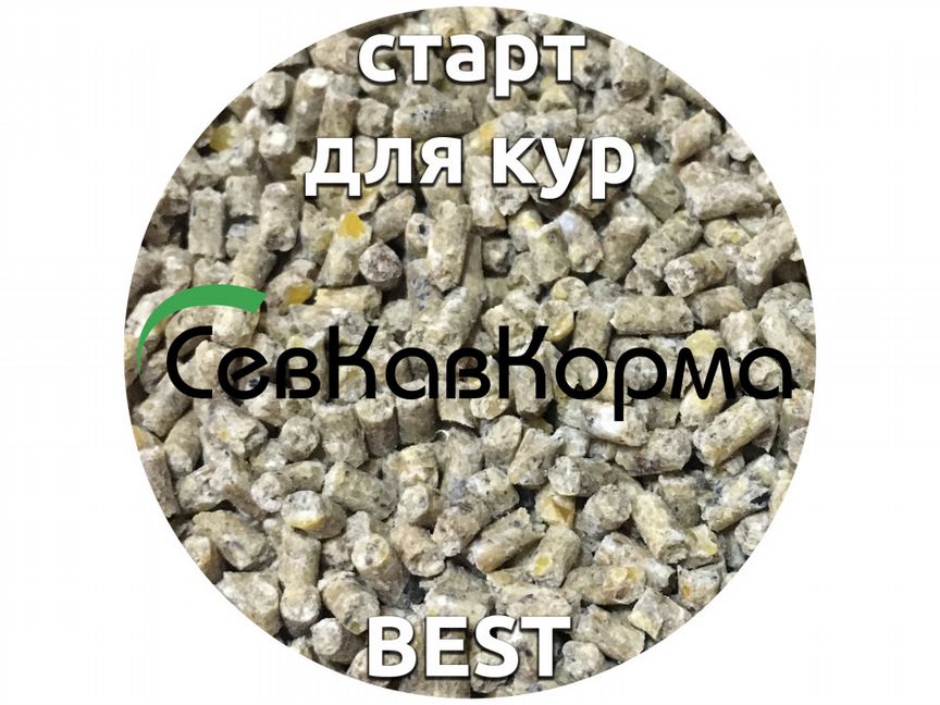 Best (бест). Для кур несушек (цыплят, утят) 40 кг