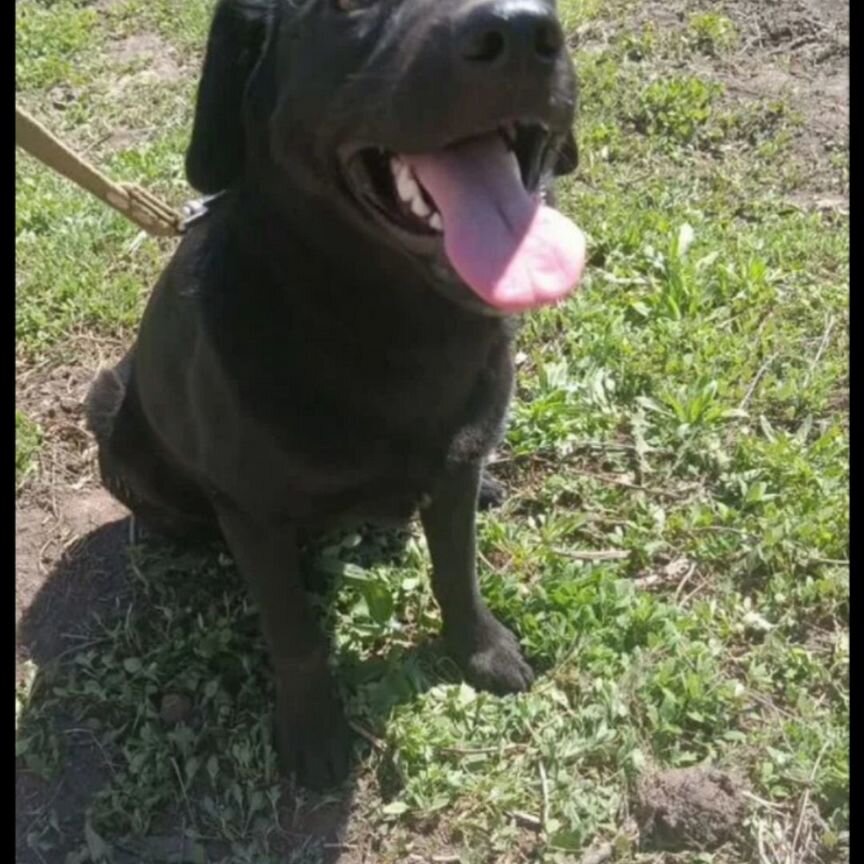 Тэя значит богиня