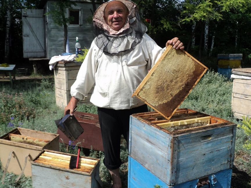 Свежий мед 2023 года оптом