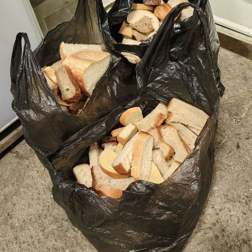 Хлеб на корм животных