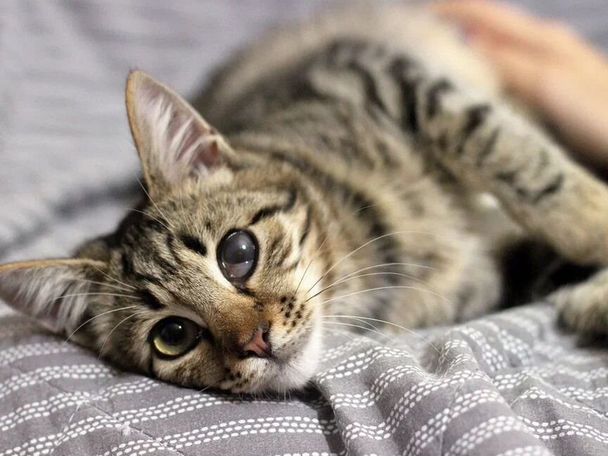 Особенный мальчик Кузенька