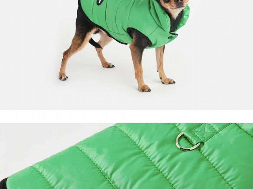 Куртки для мелких пород собак ArnyDog