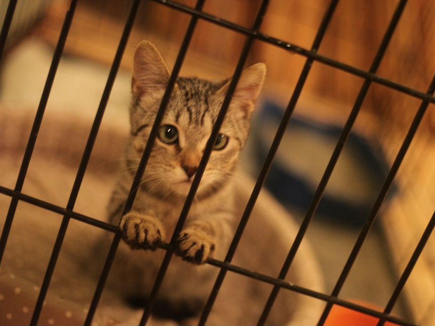 Такое весёлое имя и такое грустное детство