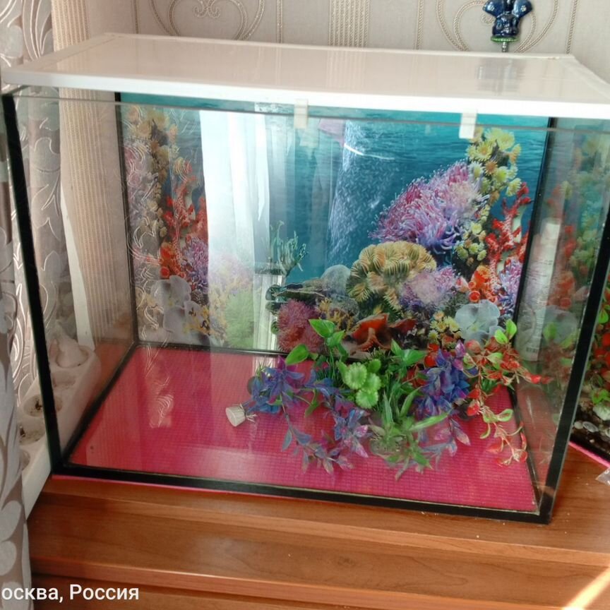 Аквариум