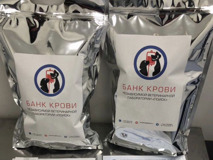 Плазма крови для кошки группа А