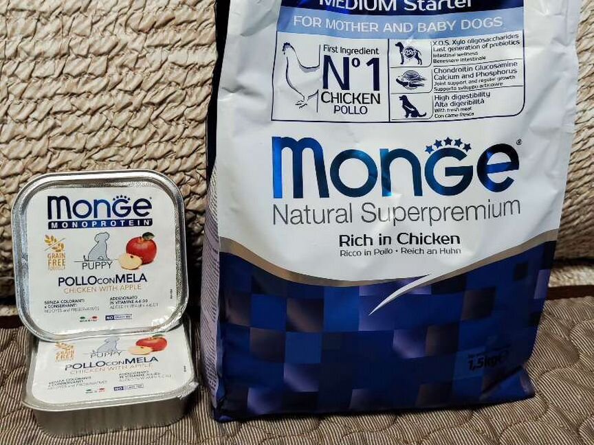 Монж стартер