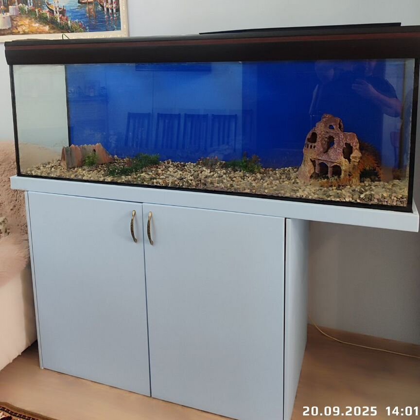 Аквариум