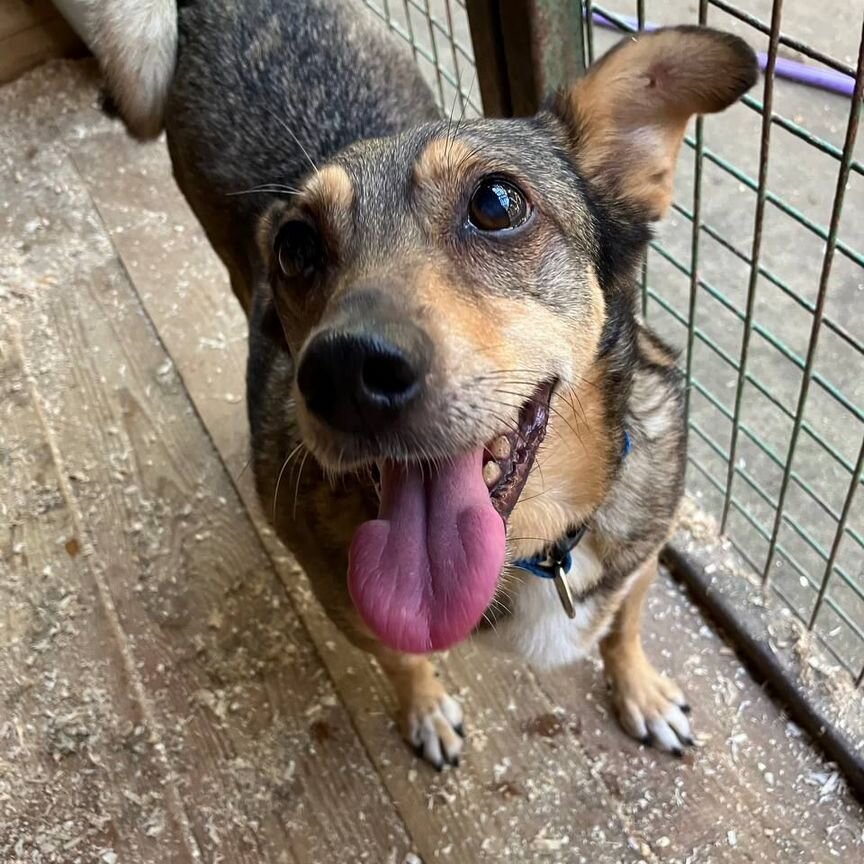 Сколько мне еще жить за решеткой