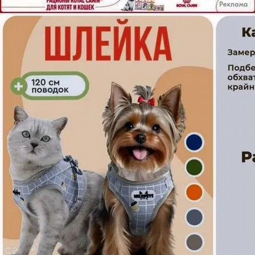Шлейка для кошки