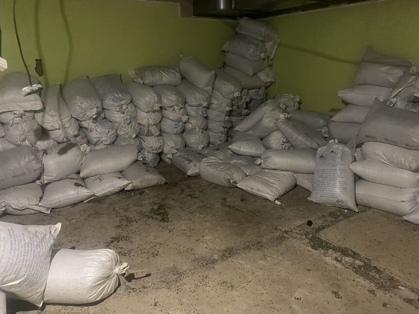 Лузга подсолнечника