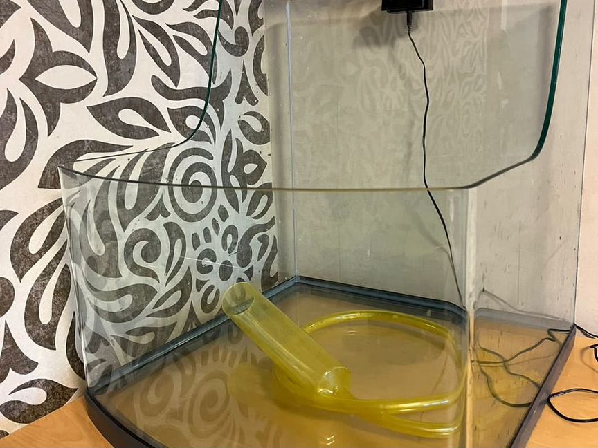 Аквариум (террариум)