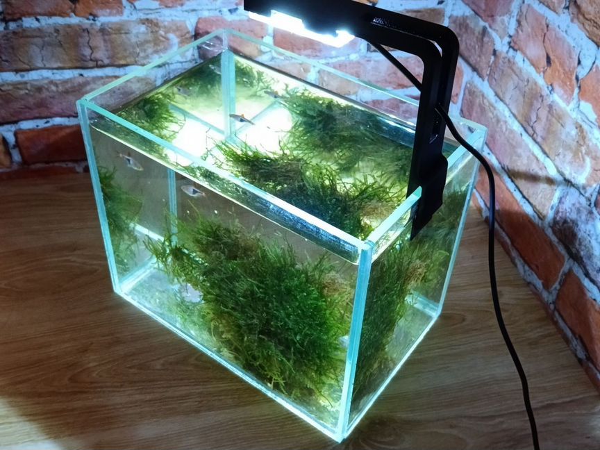 Аквариумный светильник