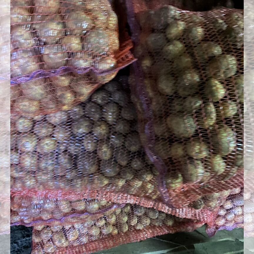 Продам мелкий картофель