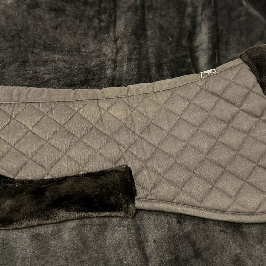 Пад под седло