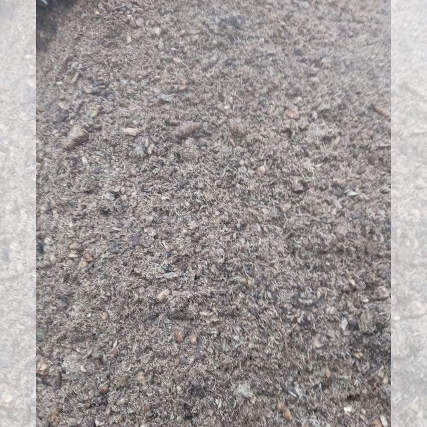 Доставка жом свекловичный