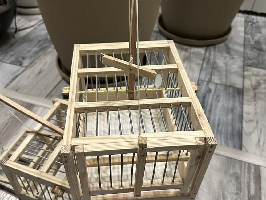 Западок для ловли птиц