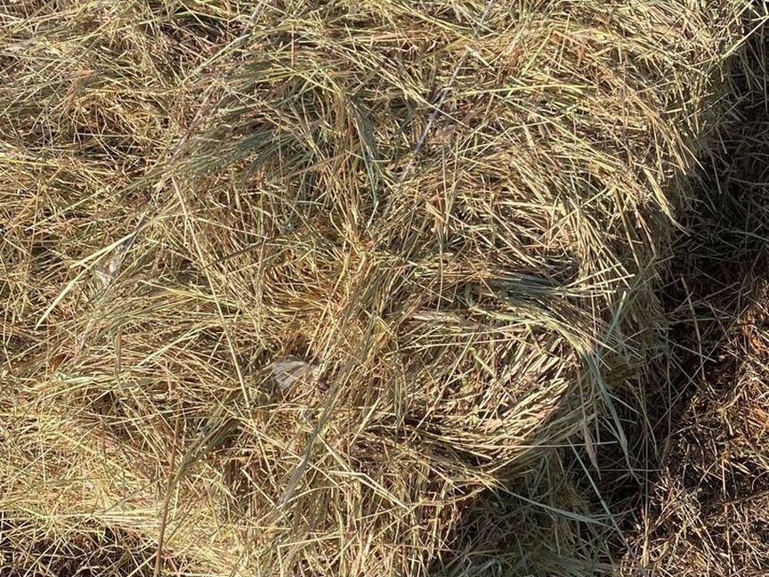 Сено и солома