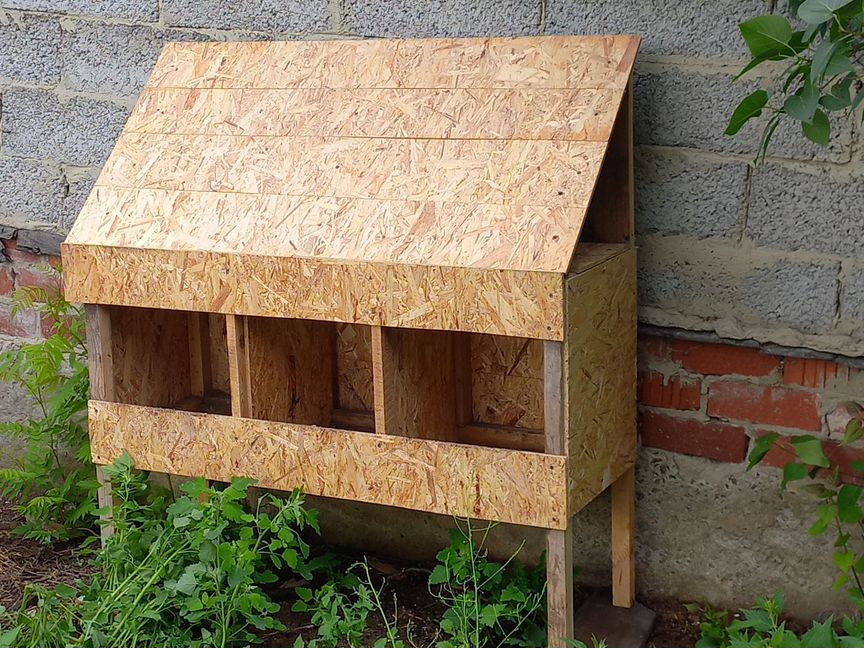 Гнезда для кур