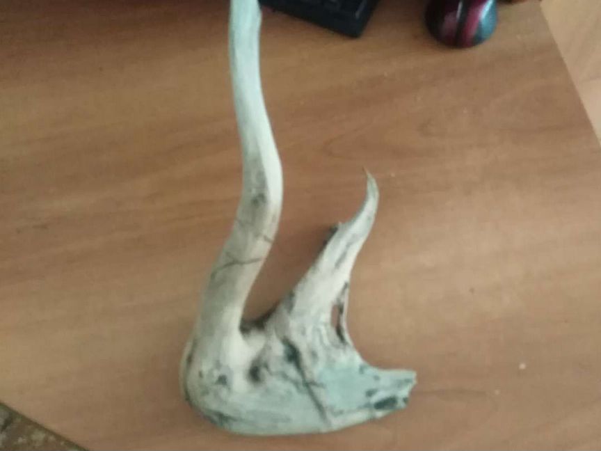 Коряга в аквариум