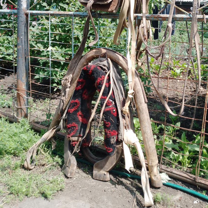 Продам сбрую