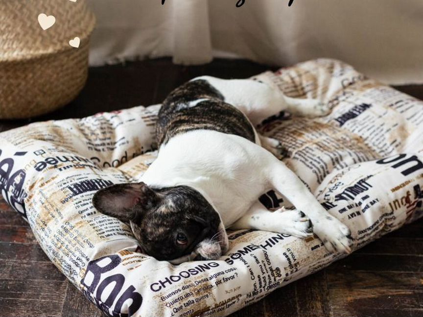 Лекжак для животных Лежанка для собак и кошек