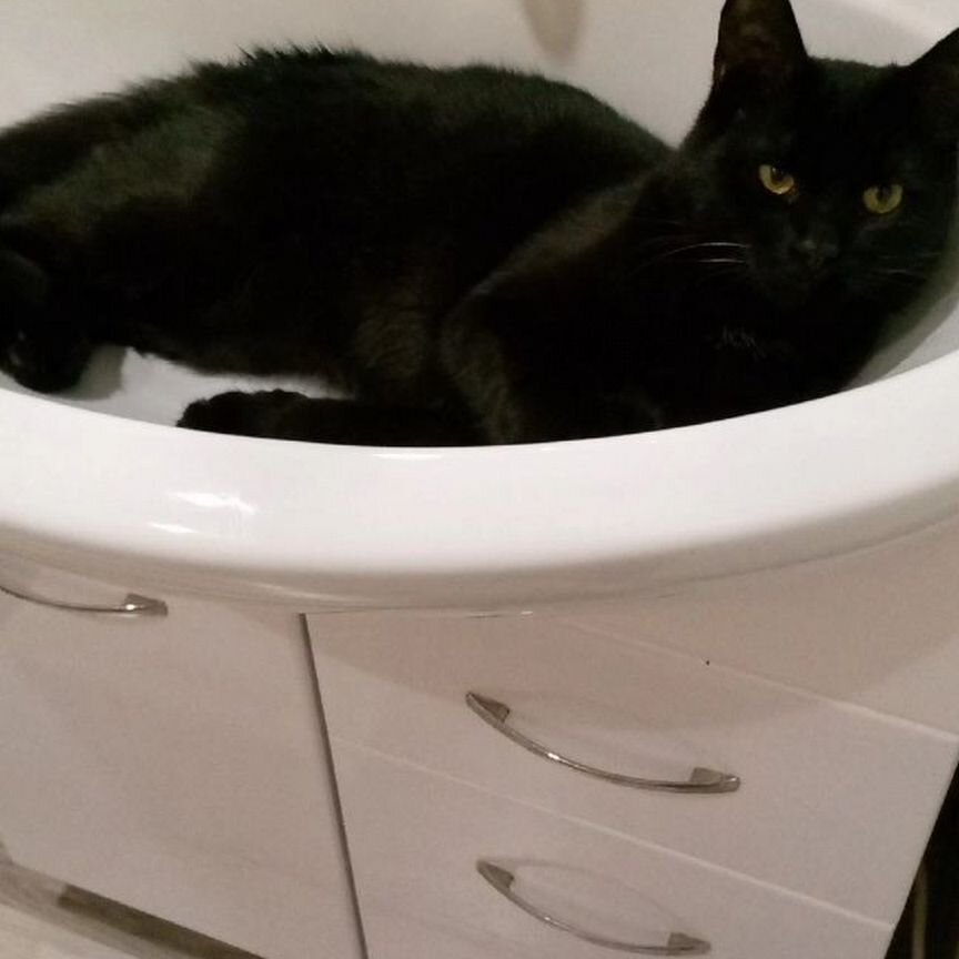 Мальчик 7 месяцев