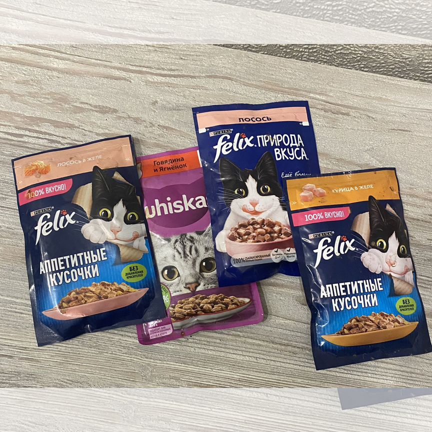 Влажный корм для кошек