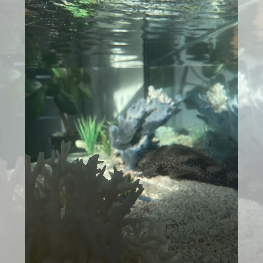 Аквариум с тумбой 220 литров