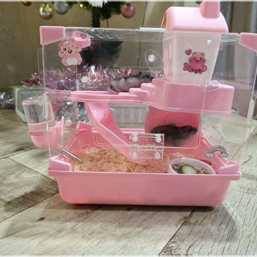 Клетка для джунгарского хомяка