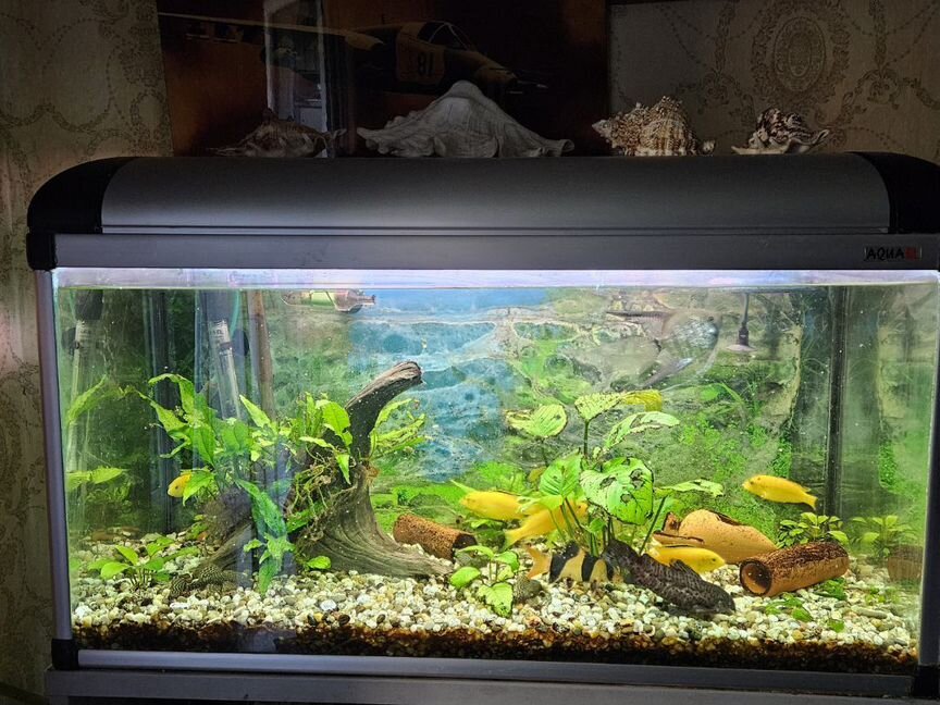 Аквариум aquael 120л