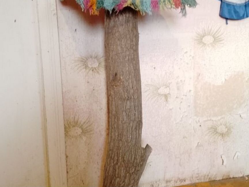 Когтеточка