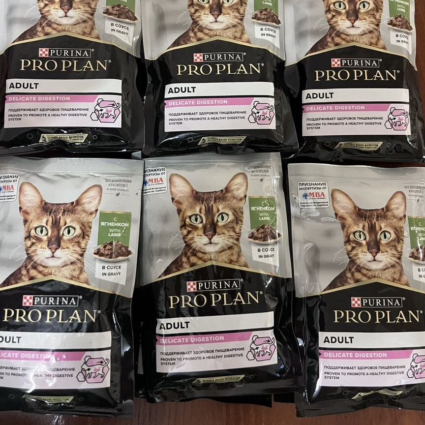 Корм для кошек проплан влажный