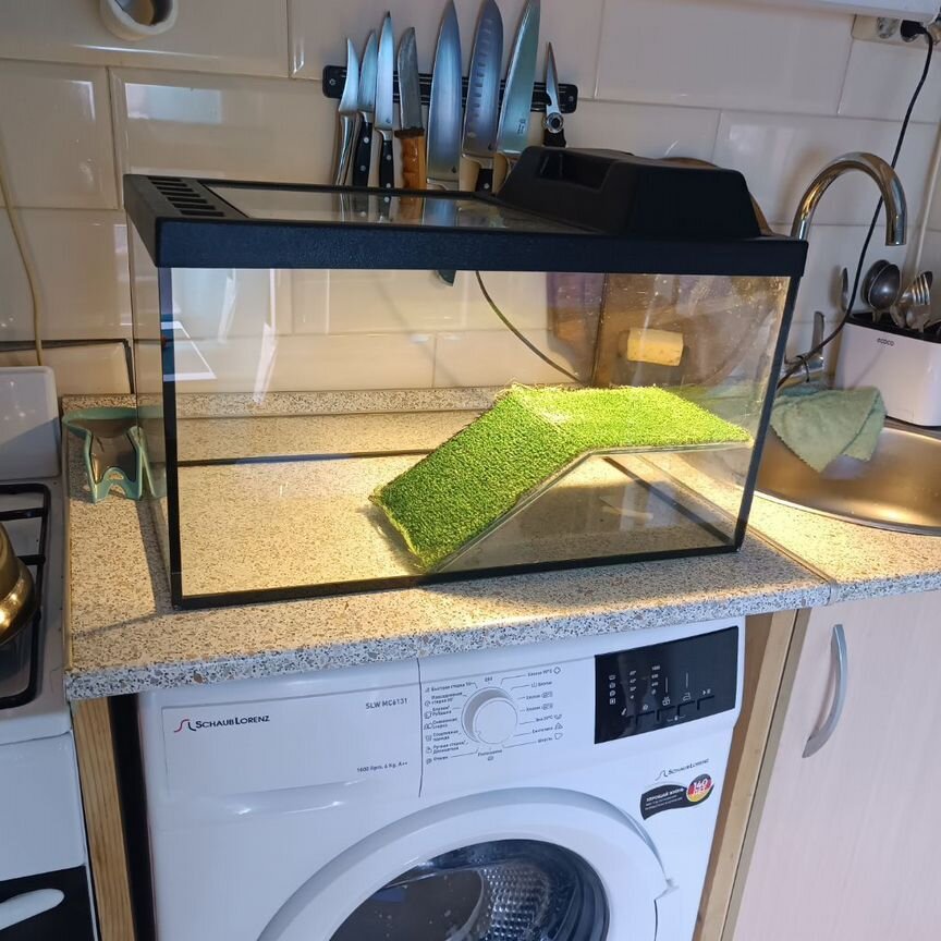 Аквариум на 50 литров