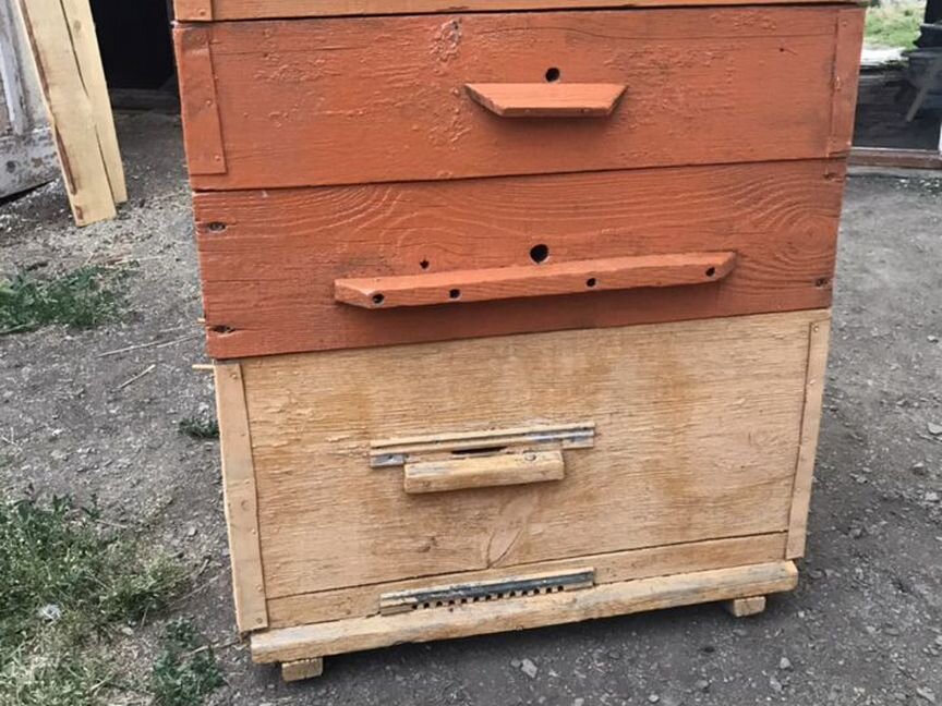 Улья для пчёл