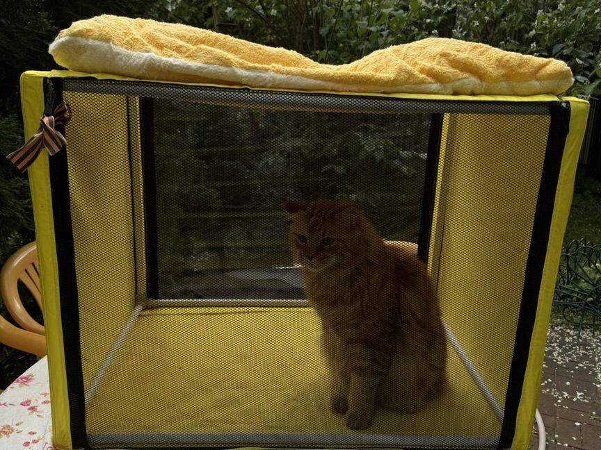 Выставочная палатка для кошек большая