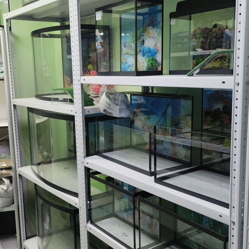 Аквариумы, рыбки, попугаи, змеи