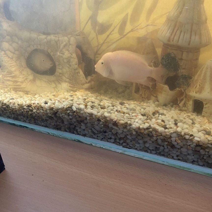 Аквариум 75 литров