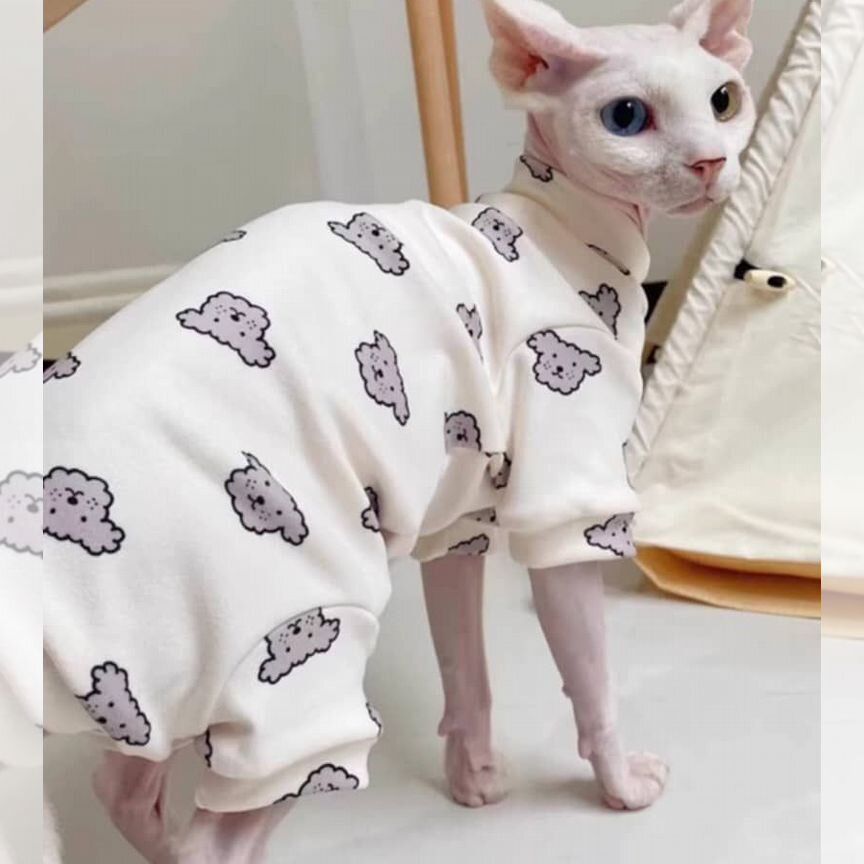 Одежда для кошек сфинкс комбинезон