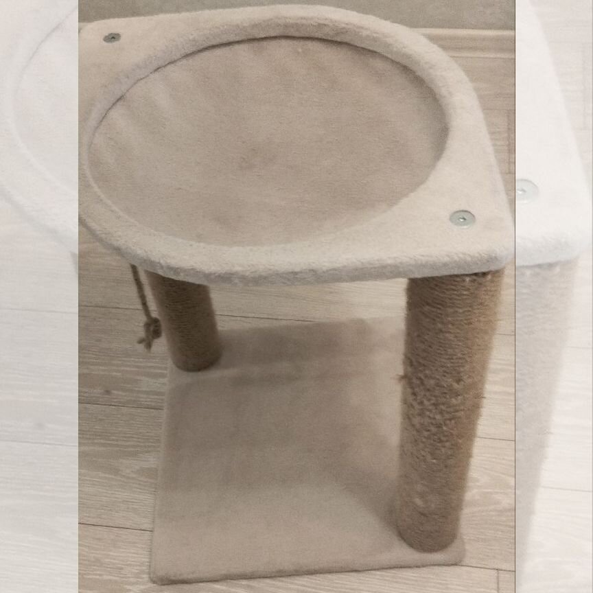 Когтеточка