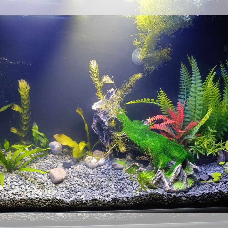 Декорации для аквариума