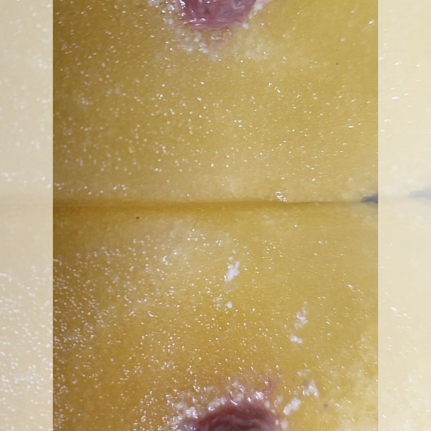 Трубочник изя