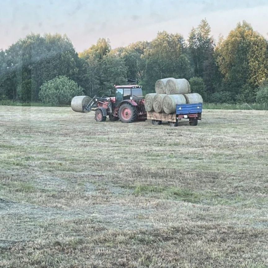 Продам Сено в рулонах
