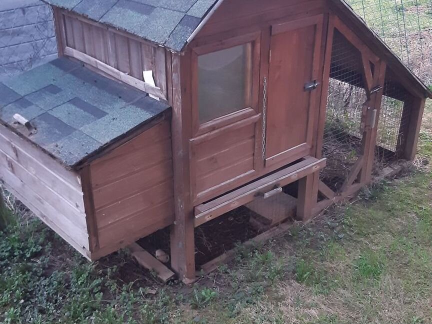 Домик для курочек (курятник)