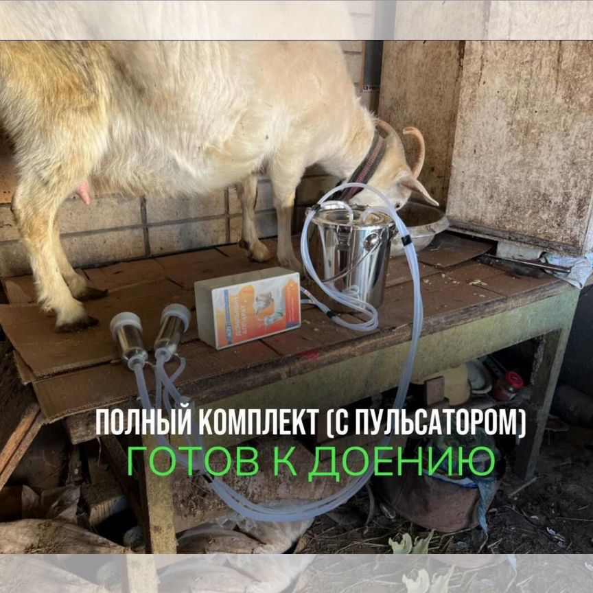 Доильный аппарат для коз, с пульсатором