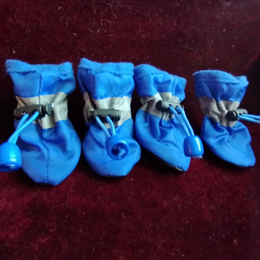 Обувь для животных 1 маленькие породы