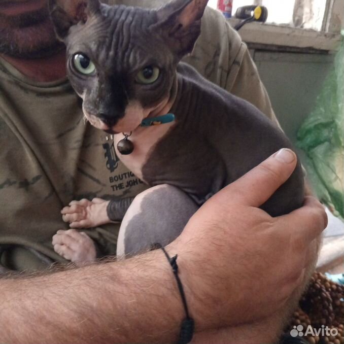 Мальчик ждет девочку