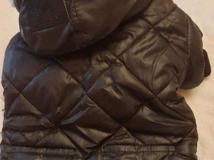 Пальто для маленькой собачки Той, Чих