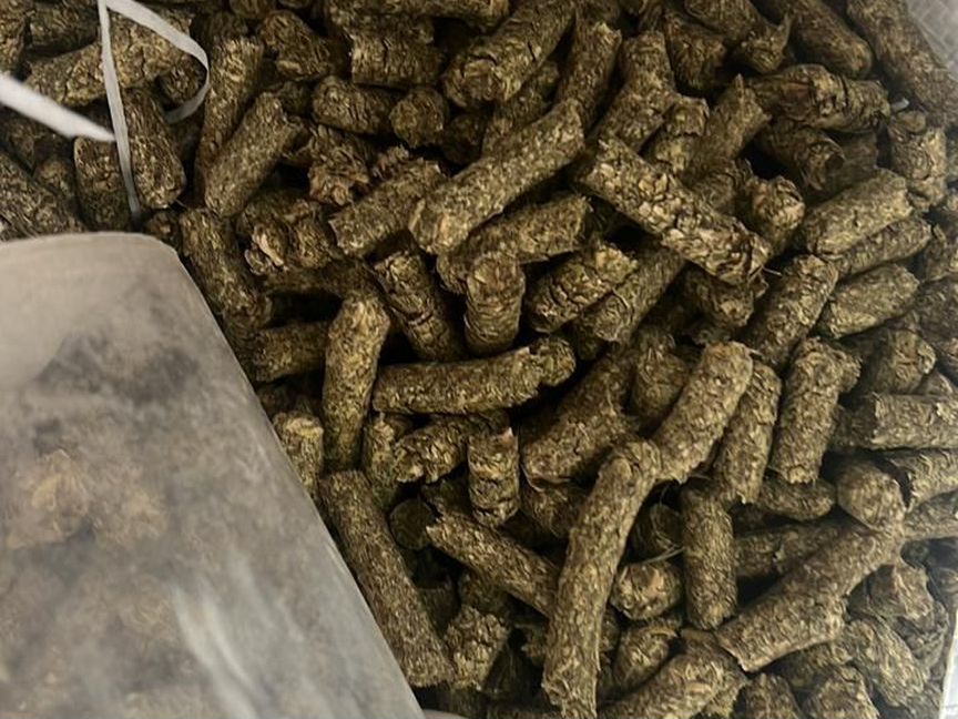 Травеная мука (Люцерна) в грануле